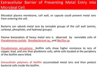 Microbial life in heavy metal environment | PPTX