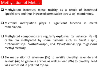 Microbial life in heavy metal environment | PPTX