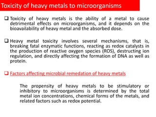 Microbial life in heavy metal environment | PPTX