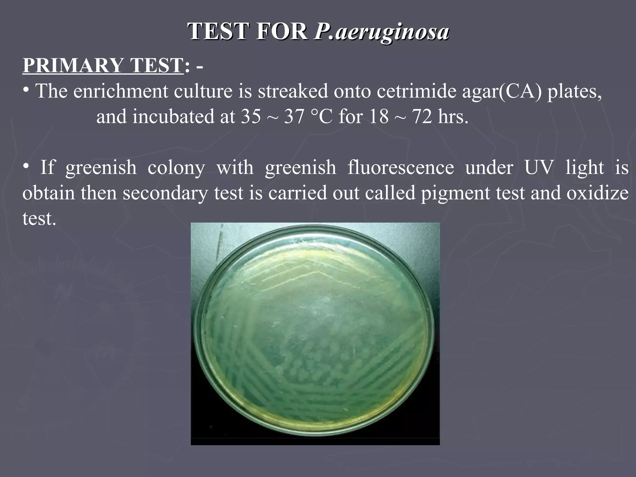 Microbial limit test | PPT