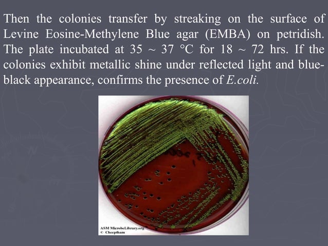 Microbial limit test | PPT | Chemistry | Science