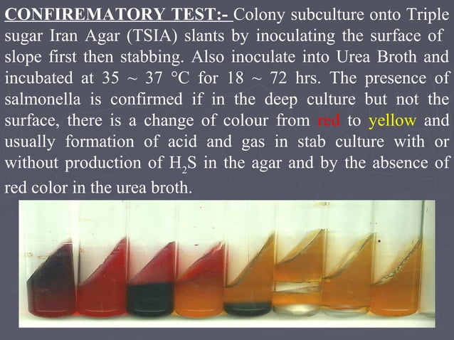 Microbial limit test | PPT | Chemistry | Science