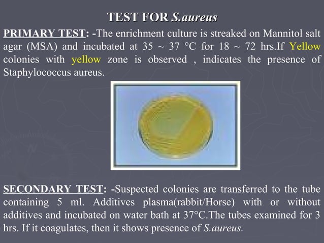 Microbial limit test | PPT | Chemistry | Science