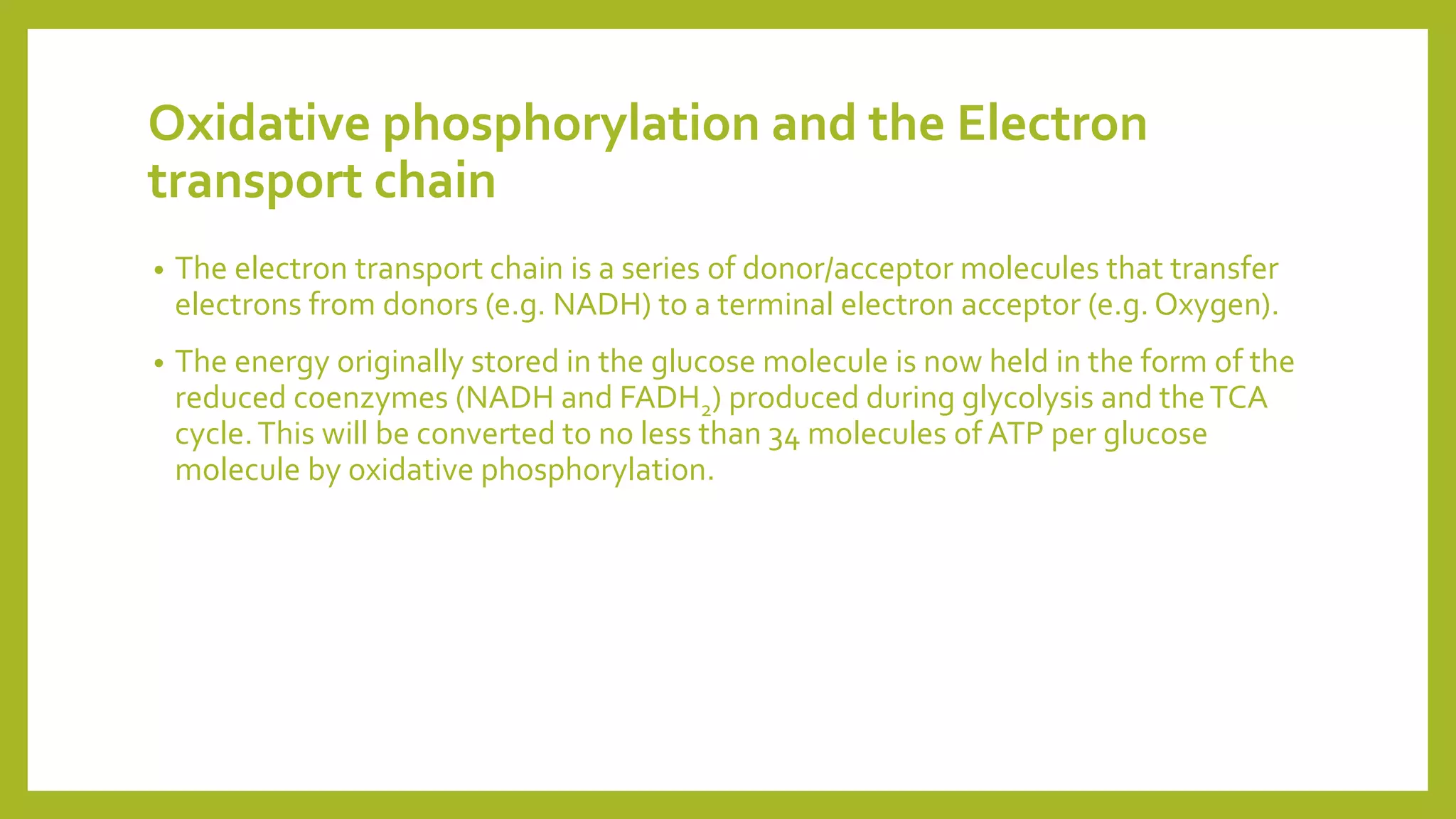 Microbial metabolism | PPTX