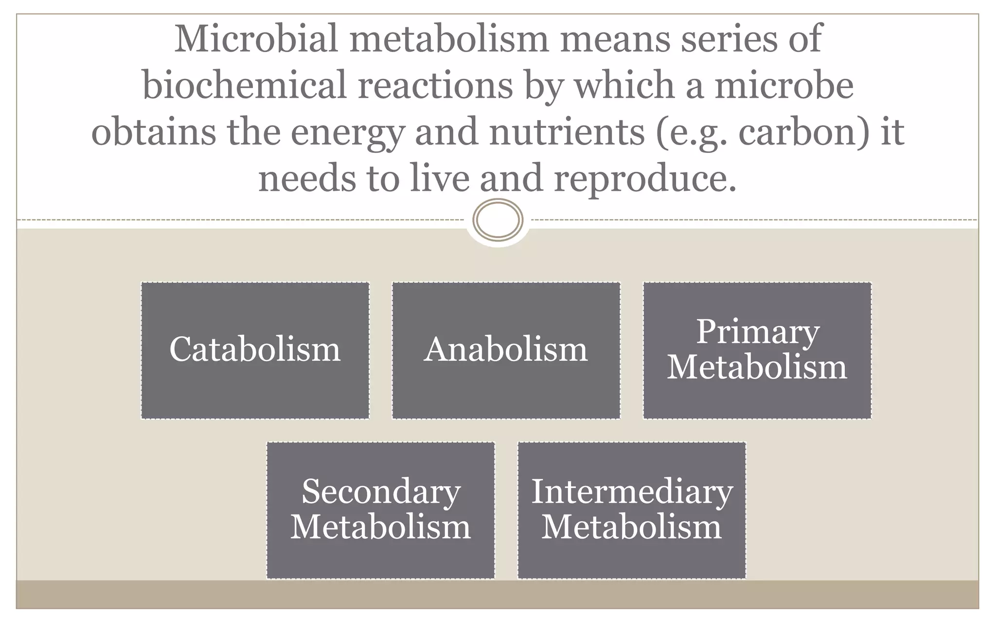 Microbial metabolism | PDF