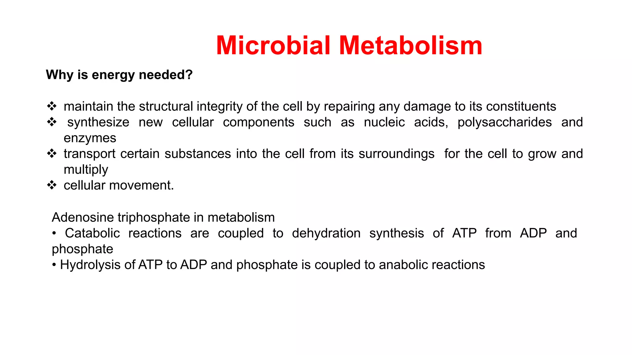 Microbial metabolism.pptx