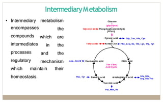 microbialmmmmmmmmmmmmmetabolism (1).pptx