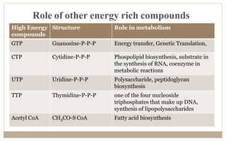 microbialmmmmmmmmmmmmmetabolism (1).pptx