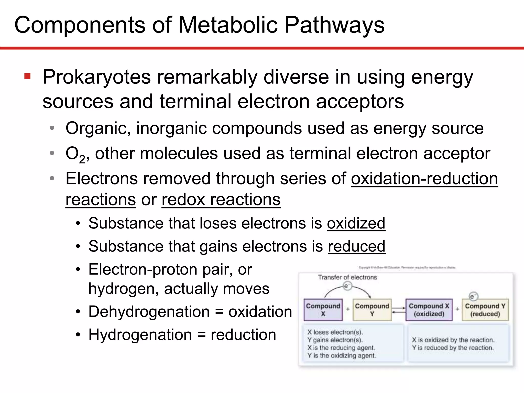 Microbial Metabolism presentations.pptx | Endocrine and Metabolic Diseases | Diseases and Conditions