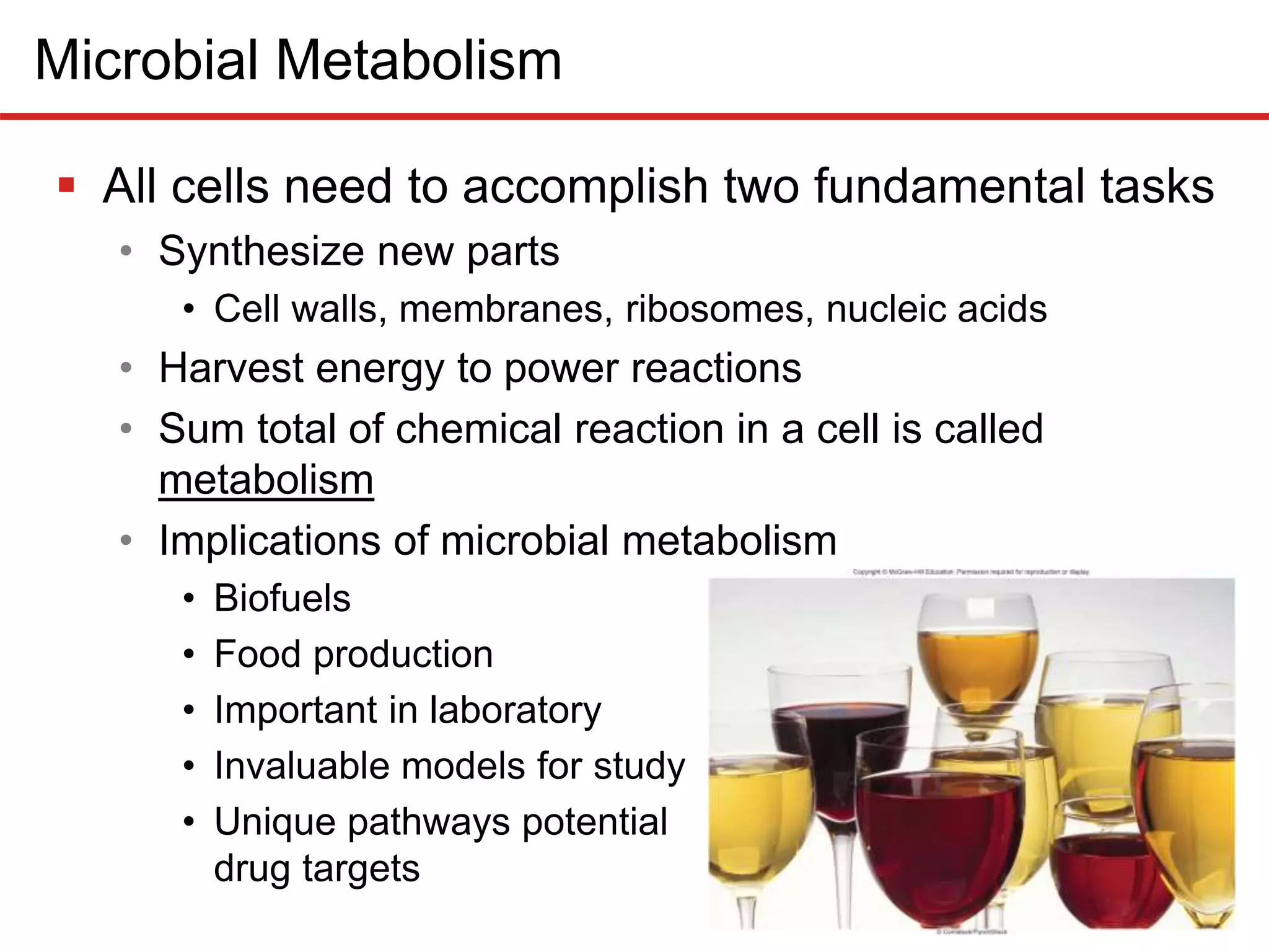Microbial Metabolism presentations.pptx