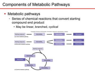 Microbial Metabolism presentations.pptx