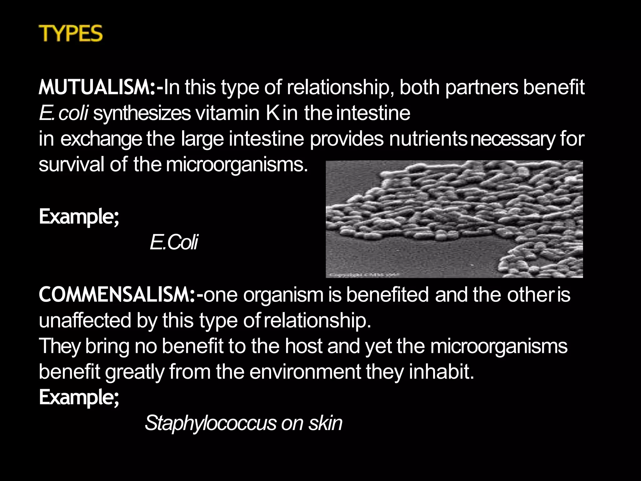 Microbial habitats | PPTX