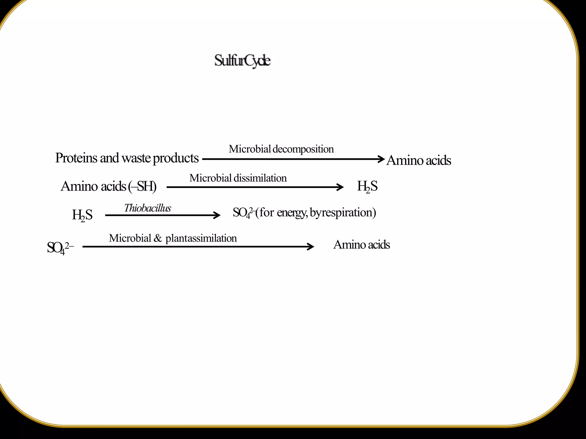 Microbial habitats | PPTX