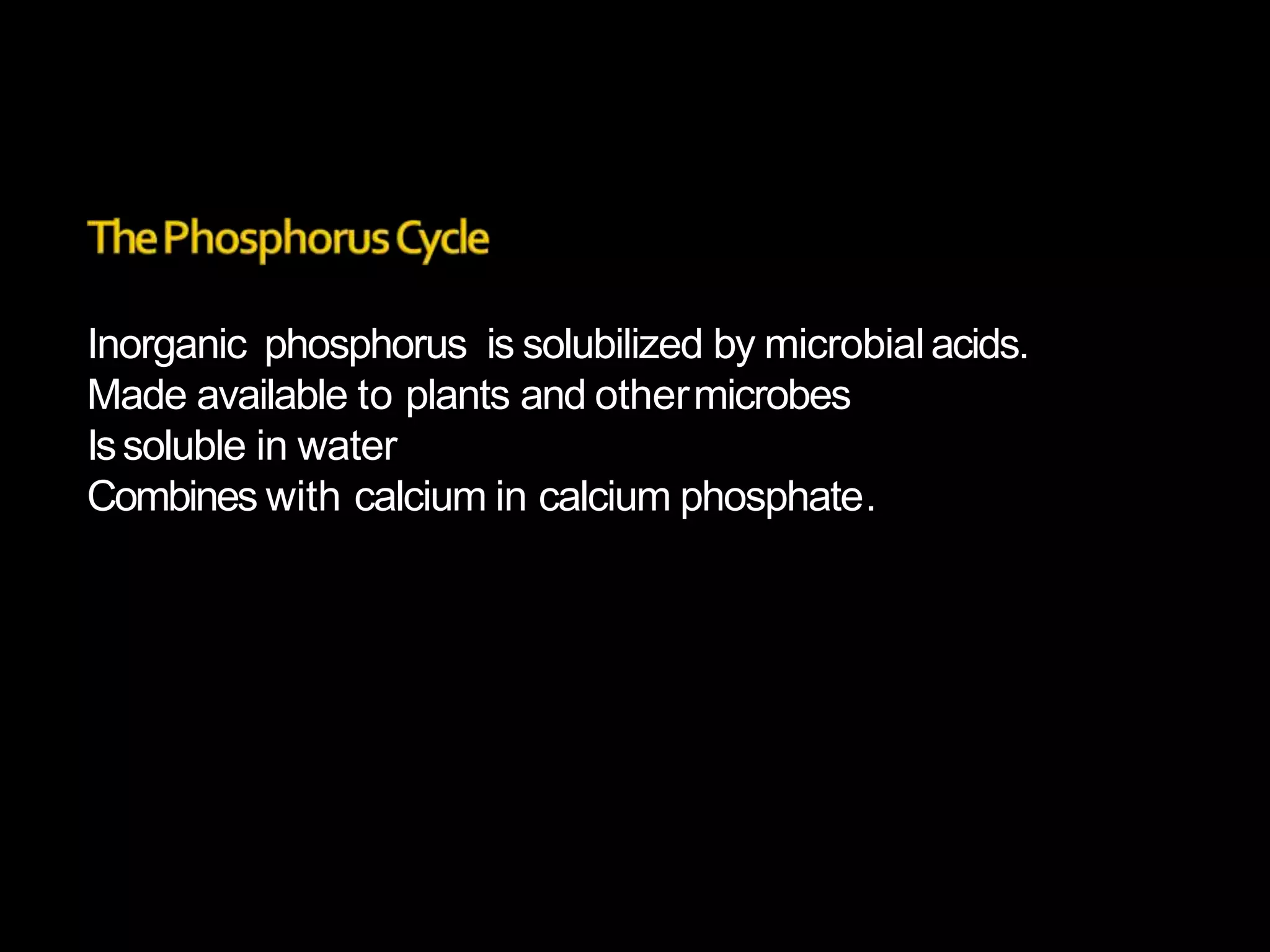 Microbial habitats | PPTX