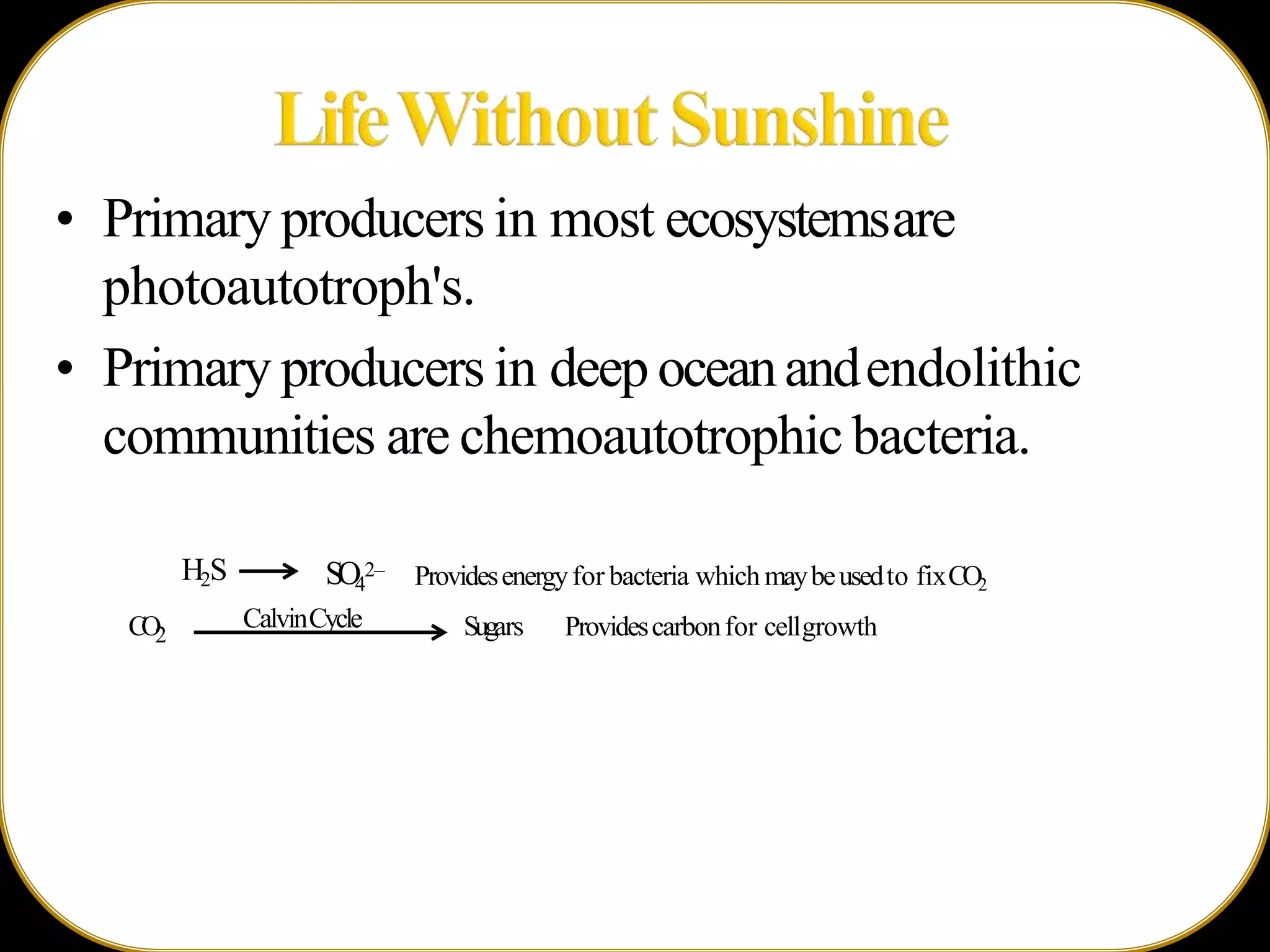 Microbial habitats | PPTX