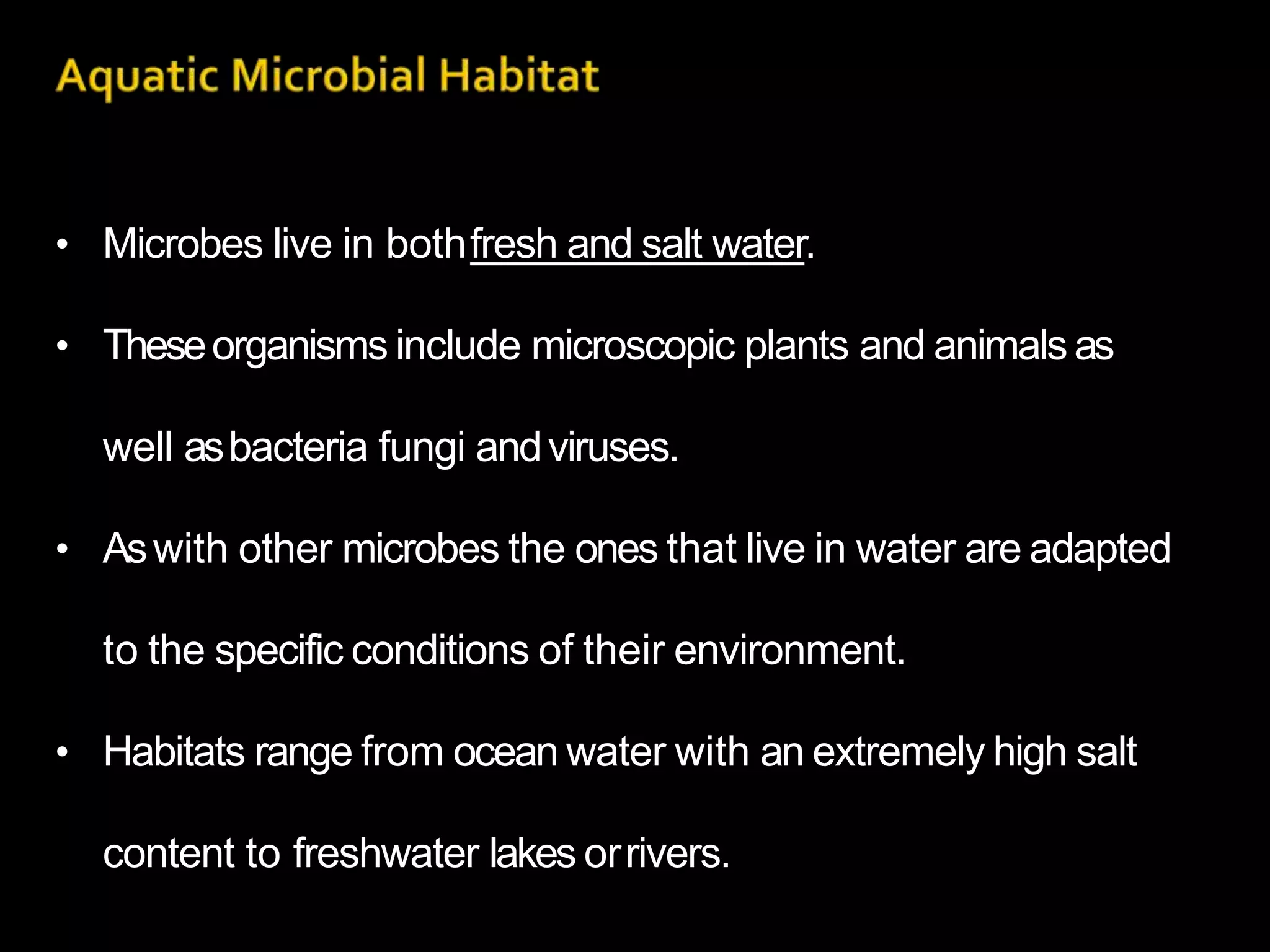 Microbial habitats | PPTX