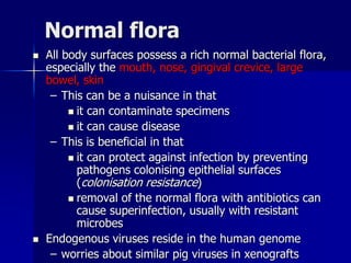 Microbial normal flora lecture 2.ppt