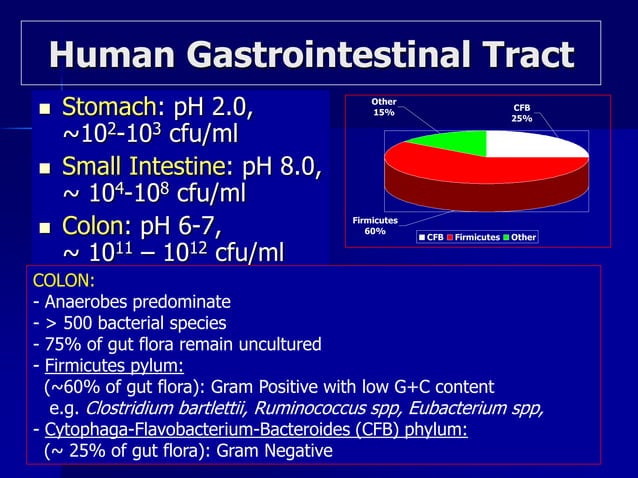 Microbial normal flora lecture 2.ppt