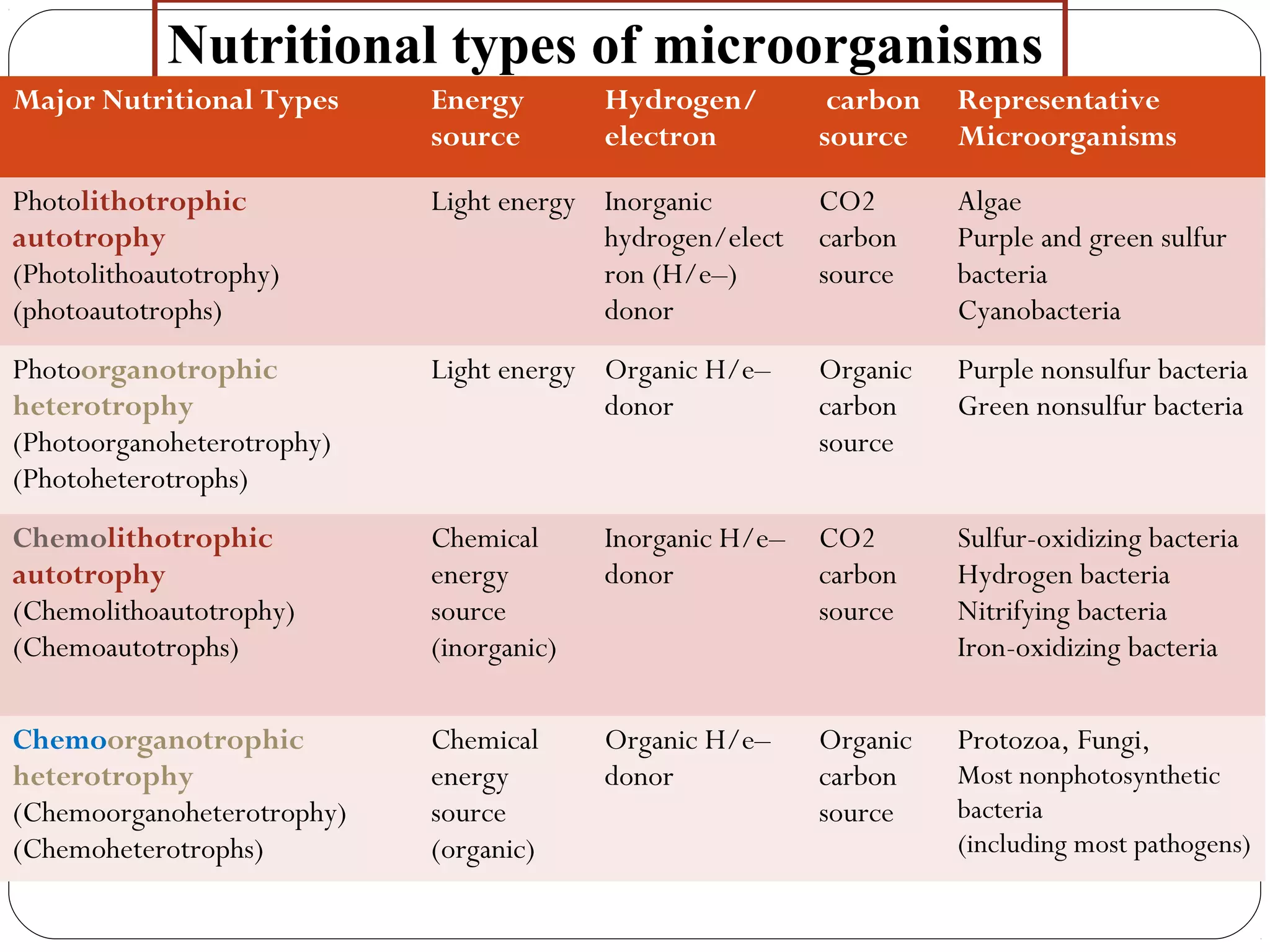 Microbial nutrition | PPT