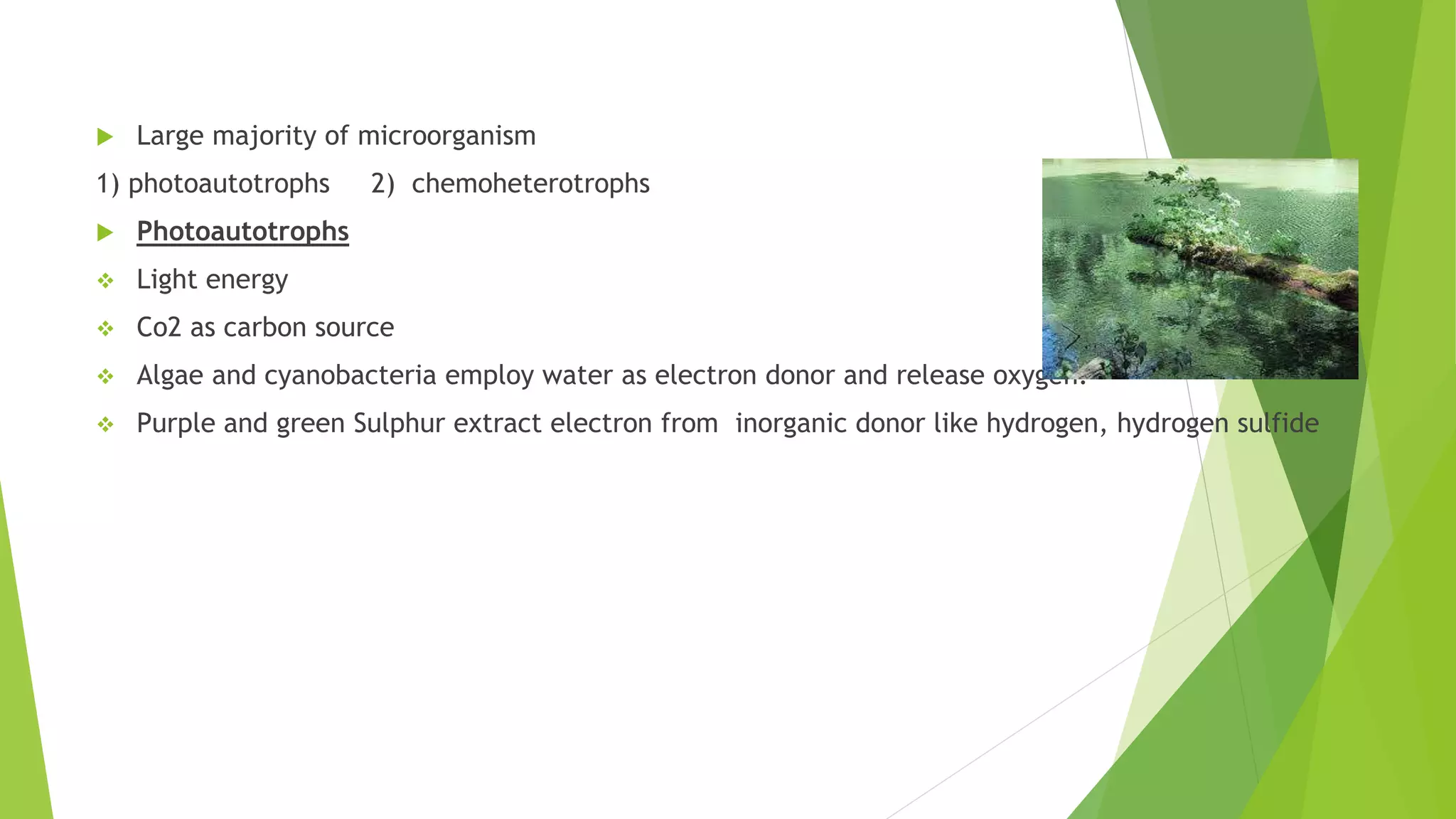 Microbial Nutrition.pptx