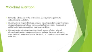 Microbial Nutrition.pptx