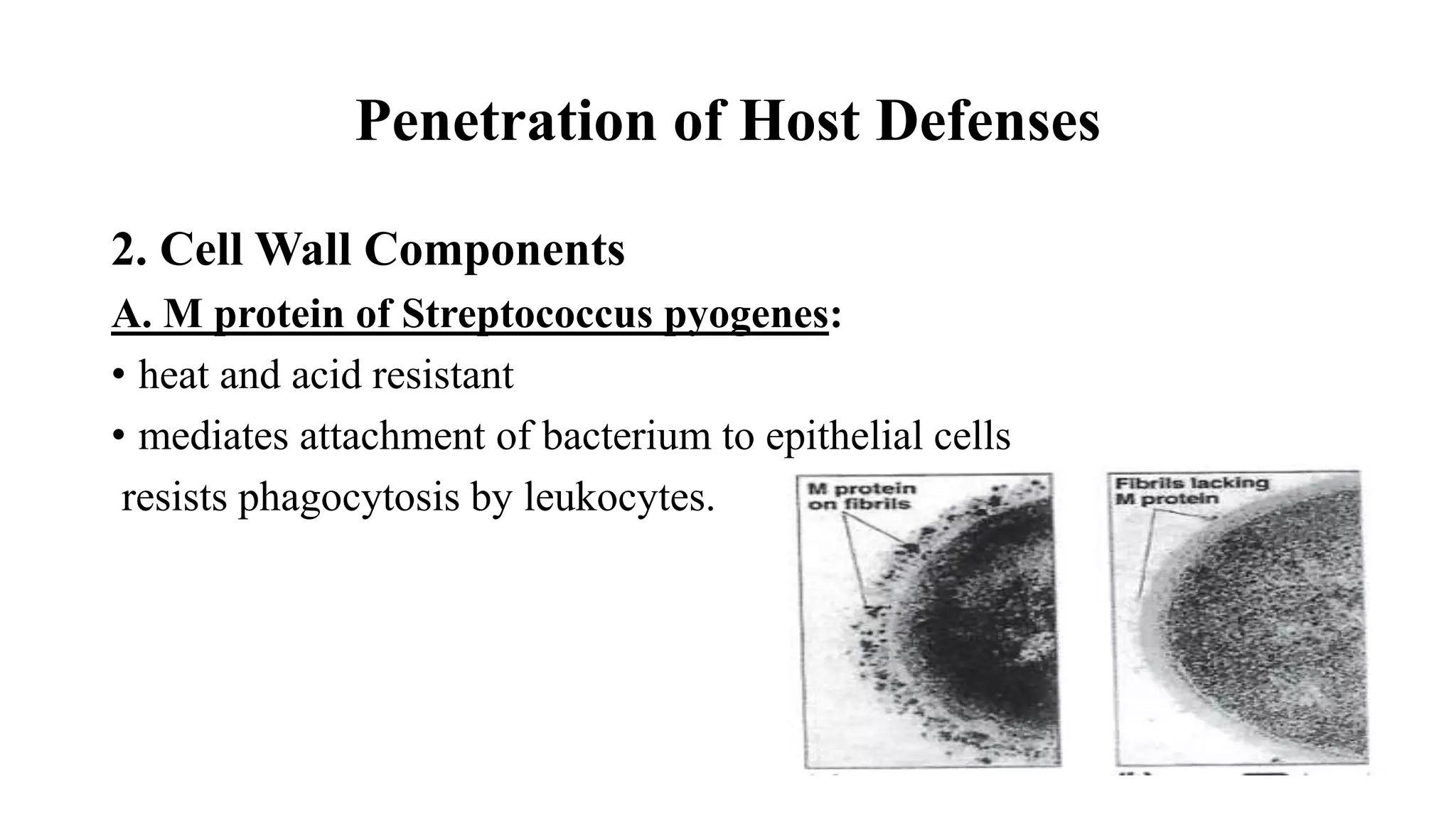 Microbial Pathogenesis | PPTX