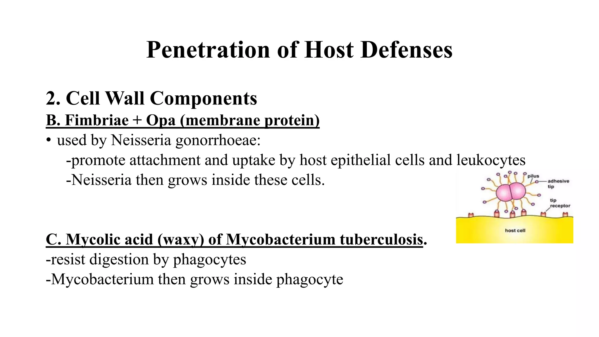 Microbial Pathogenesis | PPTX