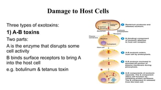 Microbial Pathogenesis | PPTX