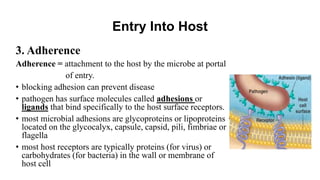 Microbial Pathogenesis | PPTX