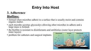 Microbial Pathogenesis | PPTX
