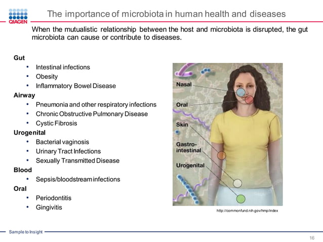 Microbial Pathogenesis and Host Immune Response | PDF | Digestive ...