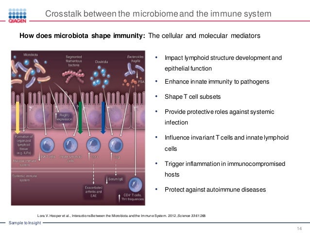 Microbial Pathogenesis