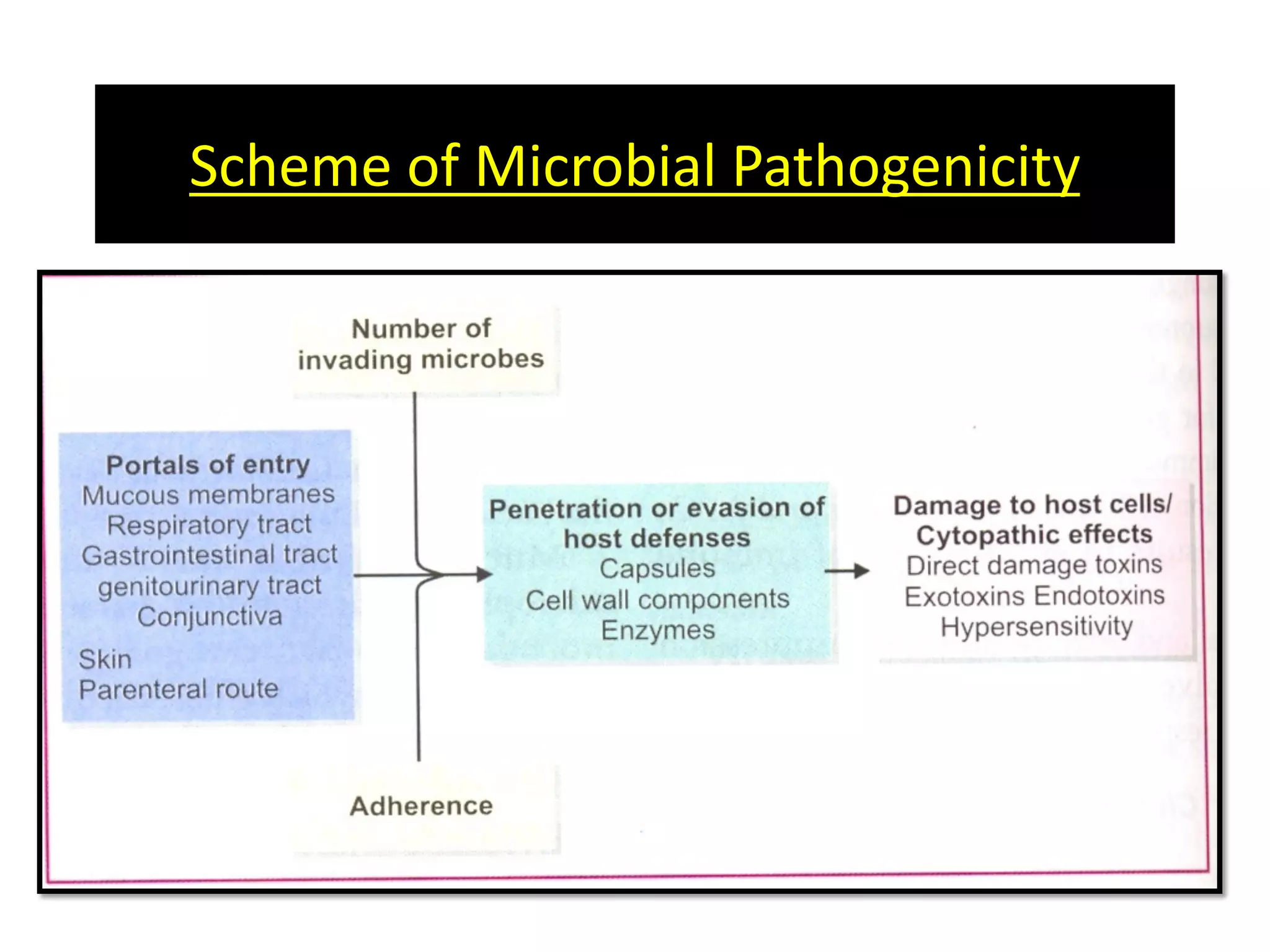 Microbial pathogenicity | PDF