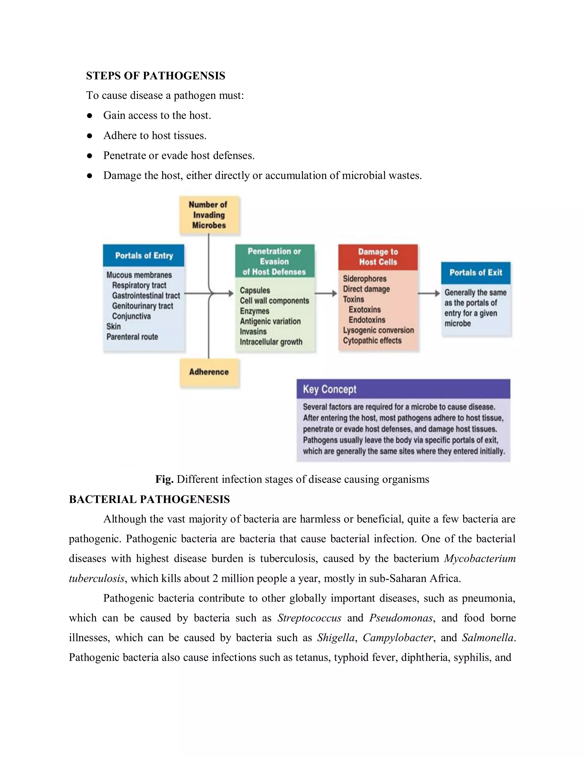 Microbial_Pathogenicity.pdf | Infectious Diseases | Diseases and Conditions