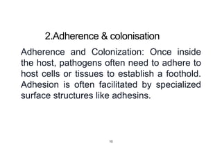 Microbial Pathogenicity-Bacteria,Virus,Fungi and Parasite | PPTX
