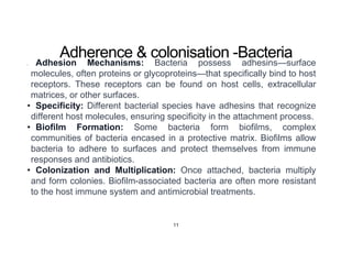 Microbial Pathogenicity-Bacteria,Virus,Fungi and Parasite | PPT