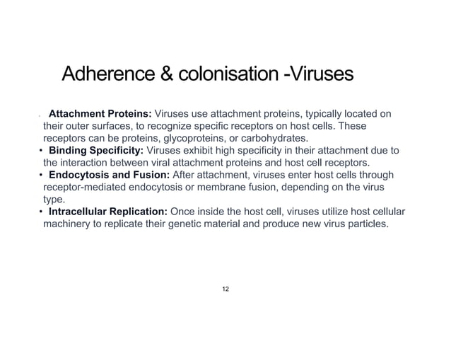 Microbial Pathogenicity-Bacteria,Virus,Fungi and Parasite | PPTX