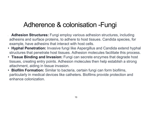 Microbial Pathogenicity-Bacteria,Virus,Fungi and Parasite | PPTX