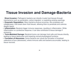 Microbial Pathogenicity-Bacteria,Virus,Fungi and Parasite | PPTX