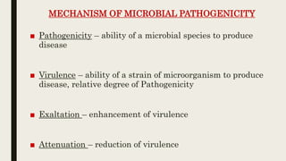 Microbial pathogenicity Dr.Ashna Ajimsha | PPTX