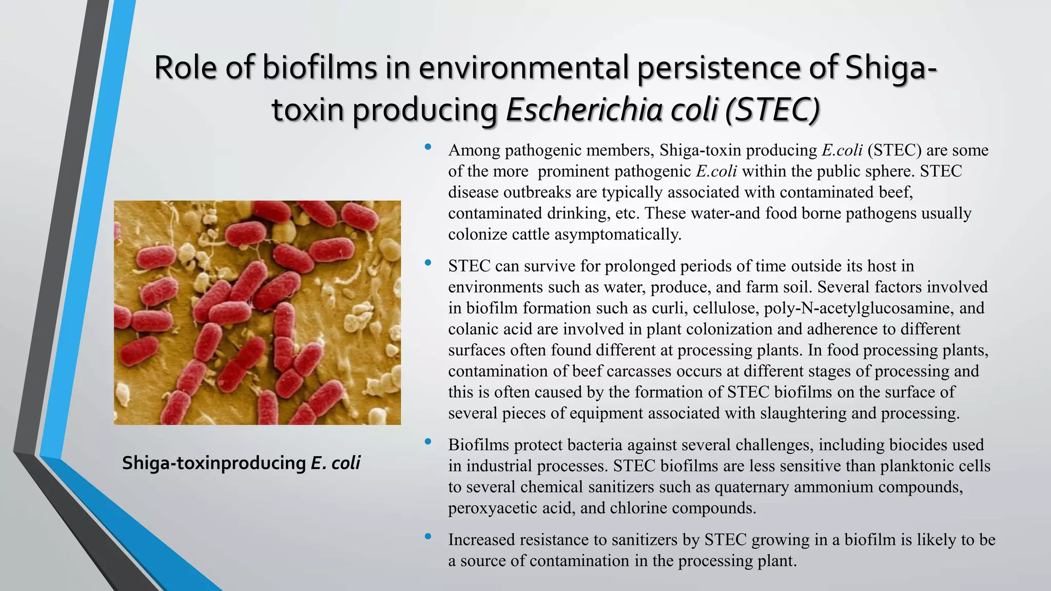 Microbial Pathogens in Non-Clinical Environments (NCE) | PPTX ...