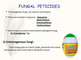 Microbial pest control ppt | PPT | Beekeeping | Hobbies & Interests