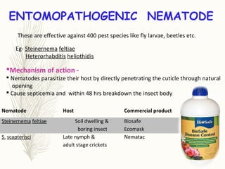 Microbial pest control ppt | PPT