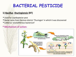 Microbial pest control ppt | PPT