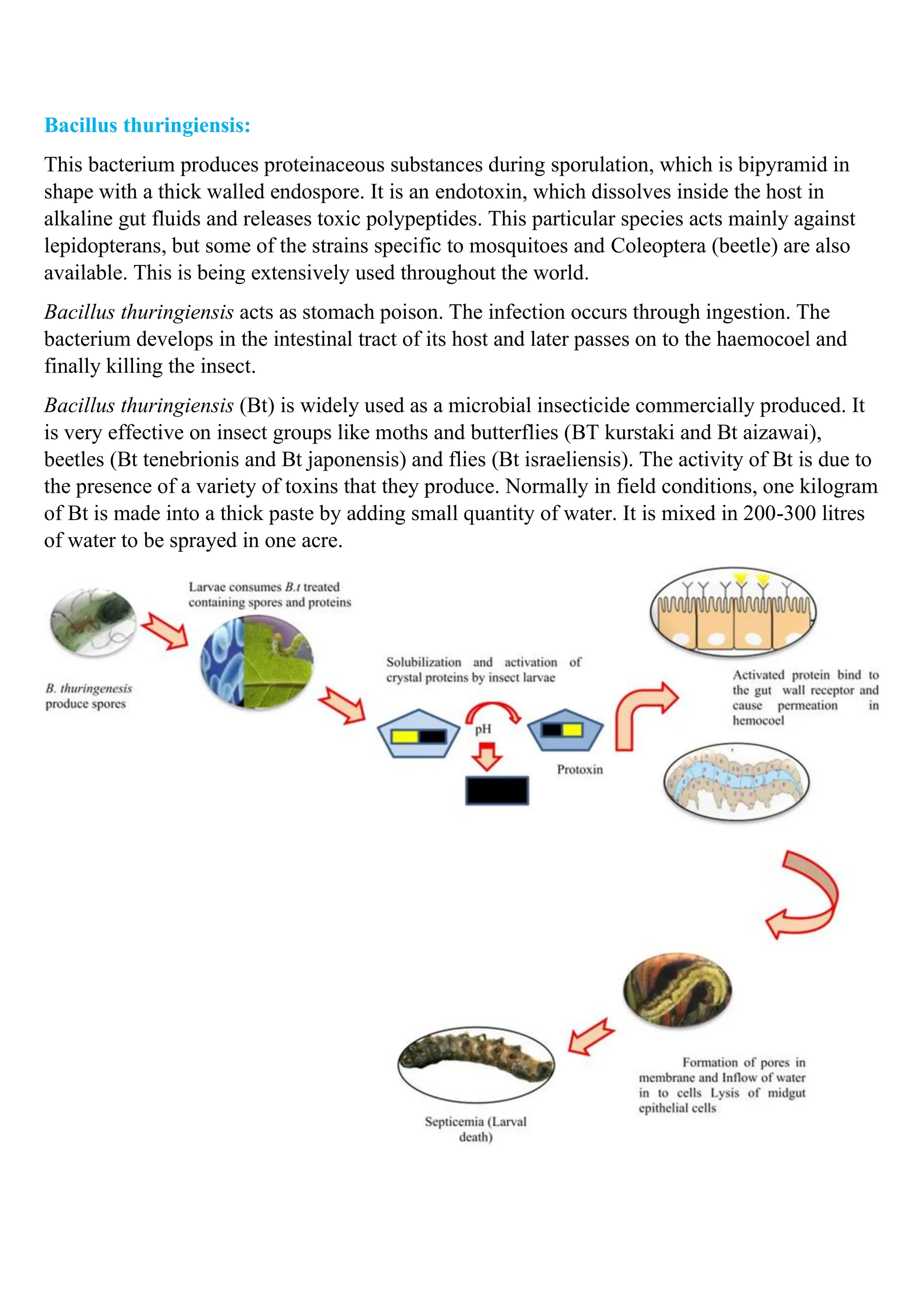 Microbial pesticide.Microbial pesticides consist of a microorganism (e ...