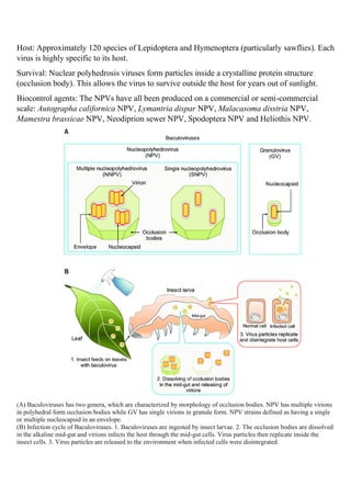 Microbial pesticide.Microbial pesticides consist of a microorganism (e ...