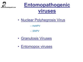 Microbial pesticide for organic agriculture | PPT