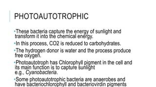 Microbial Photosynthesis.pptx