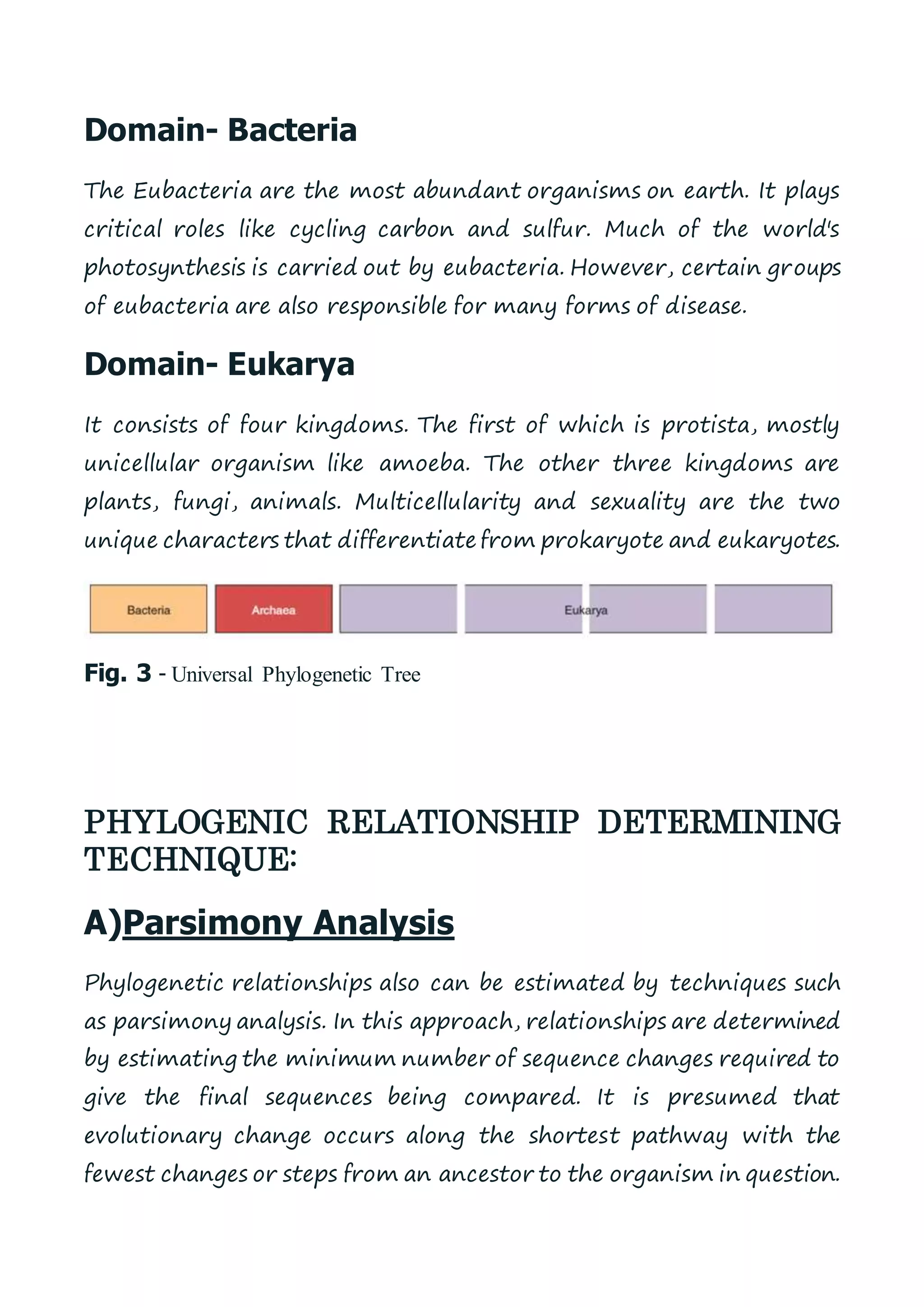 Microbial phylogeny | DOCX