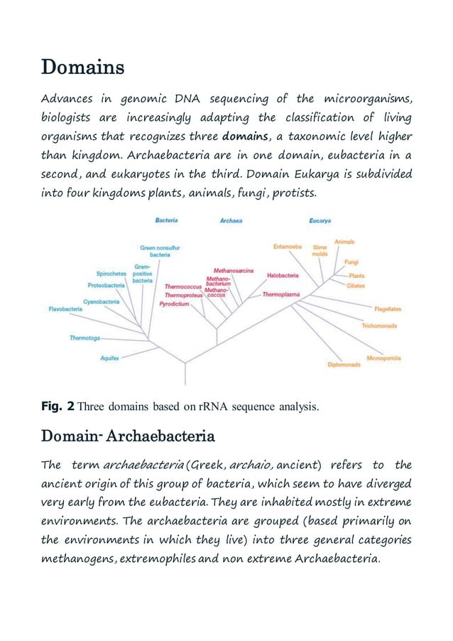 Microbial phylogeny | DOCX | Biological Sciences | Science